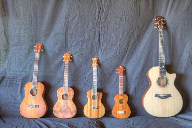 What Is A Ukulele? The Tiny Guitar Cousin Explained - Ukulele How